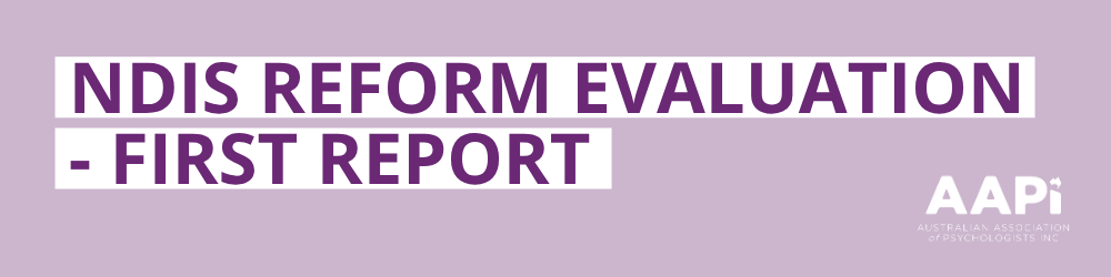NDIS Reform Evaluation - First report